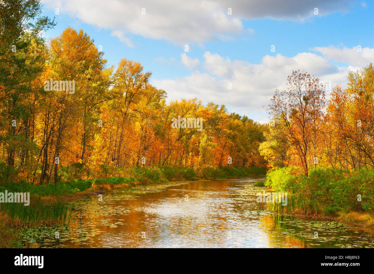 River in the fall Stock Photo - Alamy