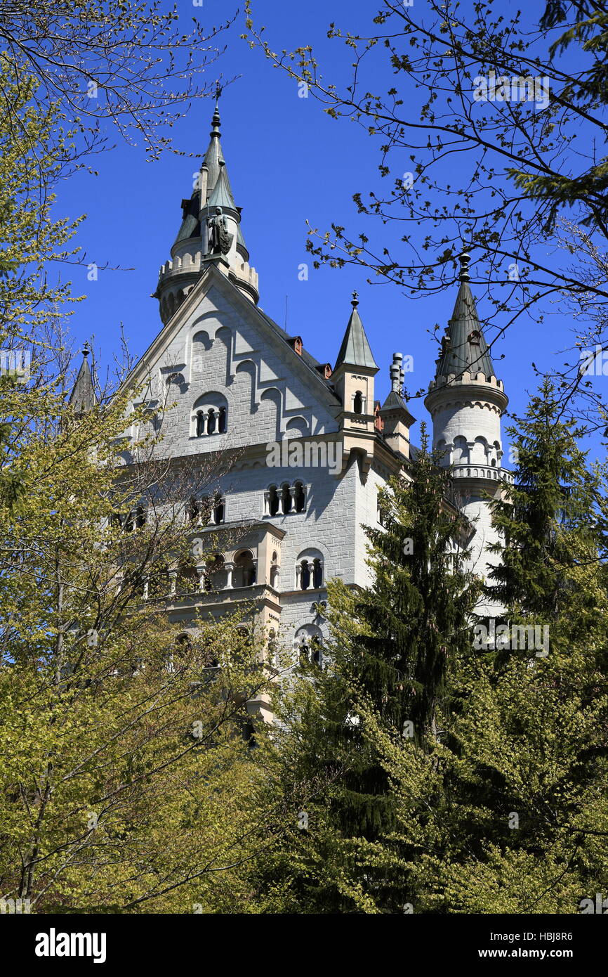 Neuschwanstein Castle in the Bavarian Alps Stock Photo - Alamy