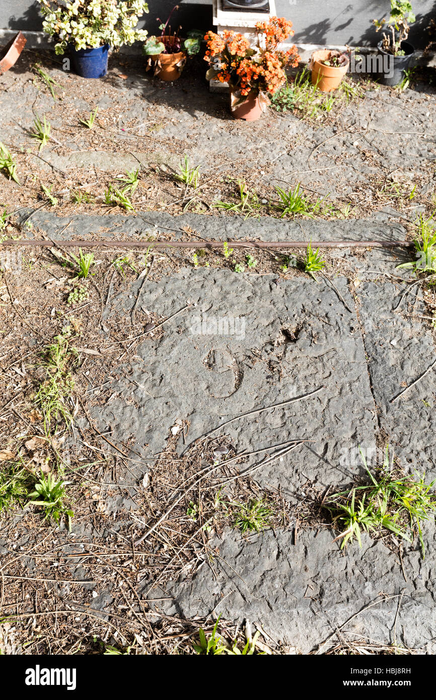 Burial pits hi-res stock photography and images - Alamy