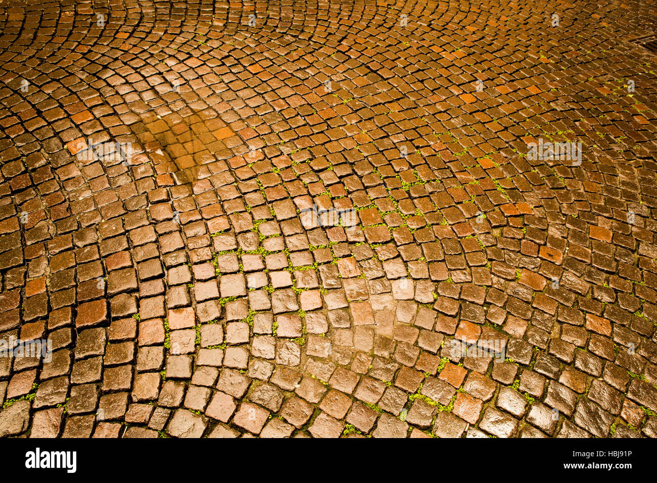Cobblestone pavement in Verona Stock Photo - Alamy