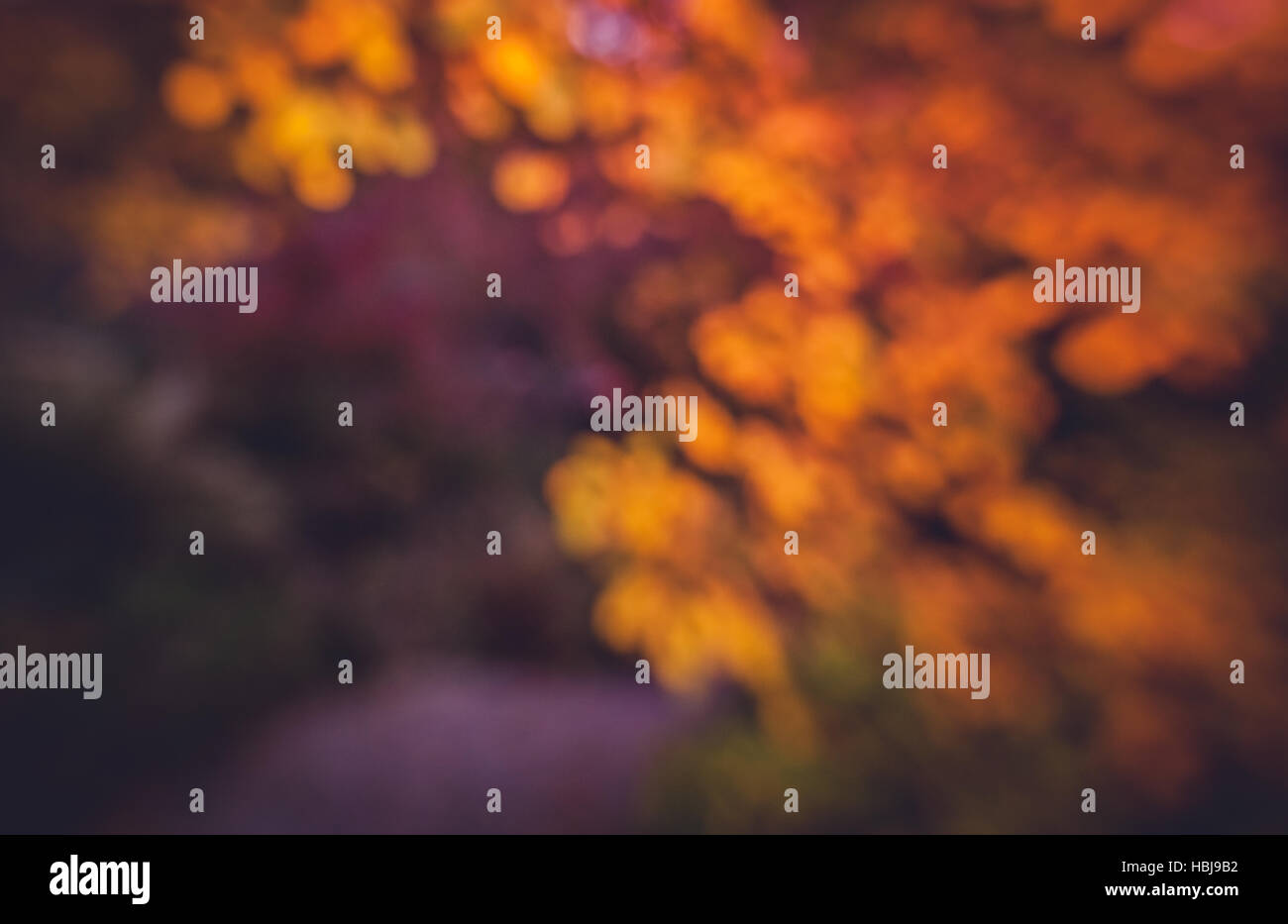 Diffused colors hi-res stock photography and images - Alamy