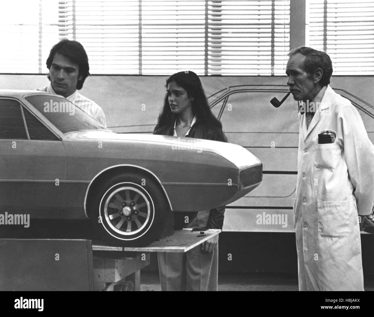 THE BETSY, Tommy Lee Jones, Kathleen Beller, Roy Poole, 1978 Stock ...