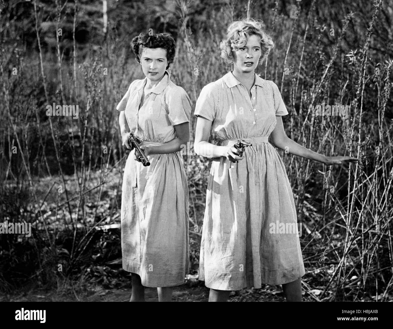 BETRAYED WOMEN, from left: Peggy Knudsen, Beverly Michaels, 1955 Stock ...
