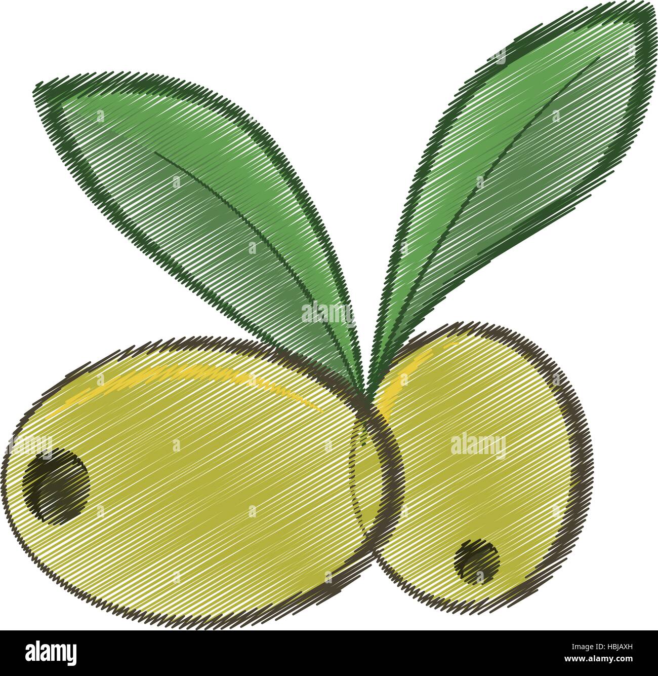 drawing two green olive leafs organic food vector illustration eps 10 ...