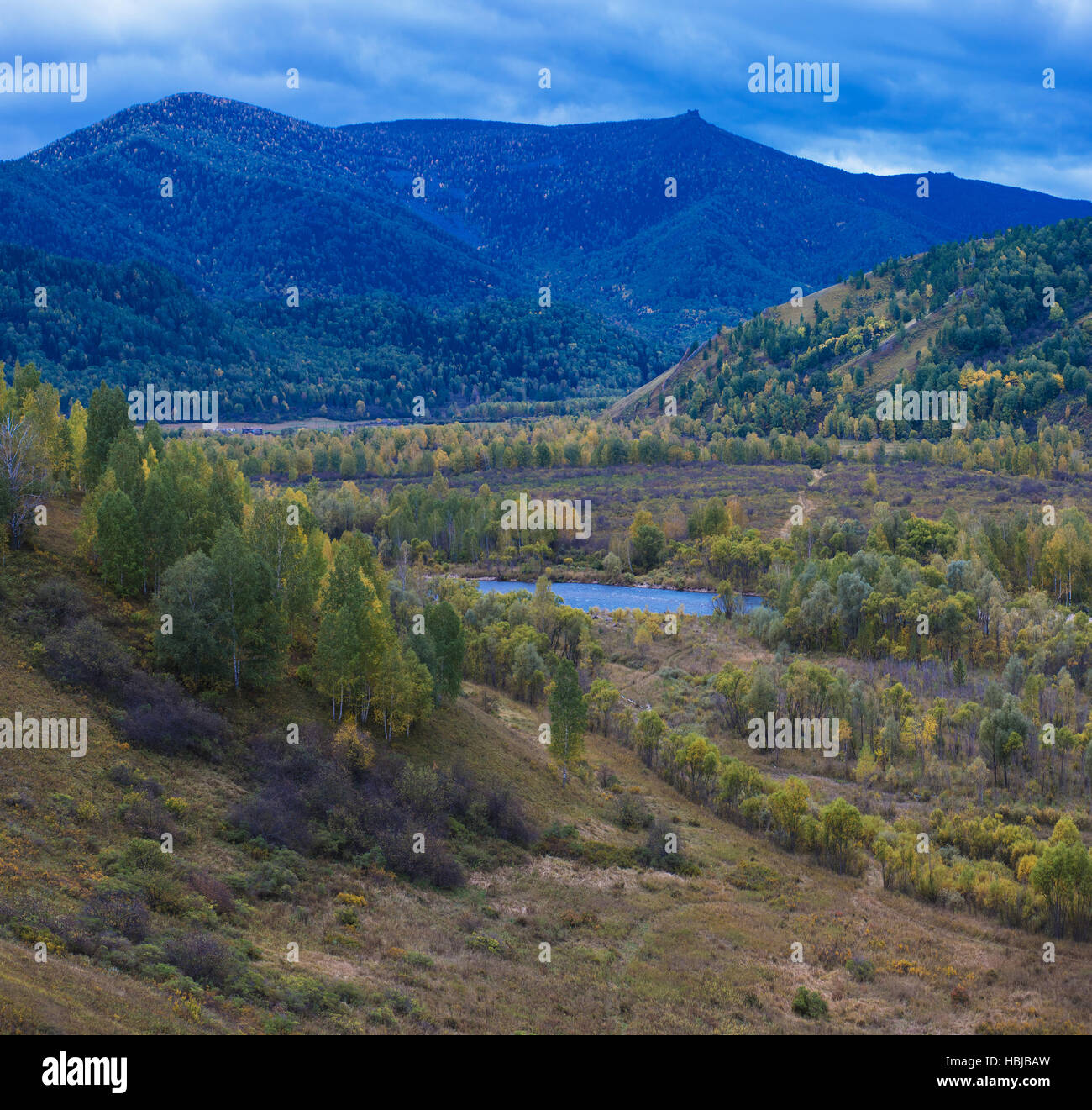 Altay mountains in Siberia Stock Photo - Alamy