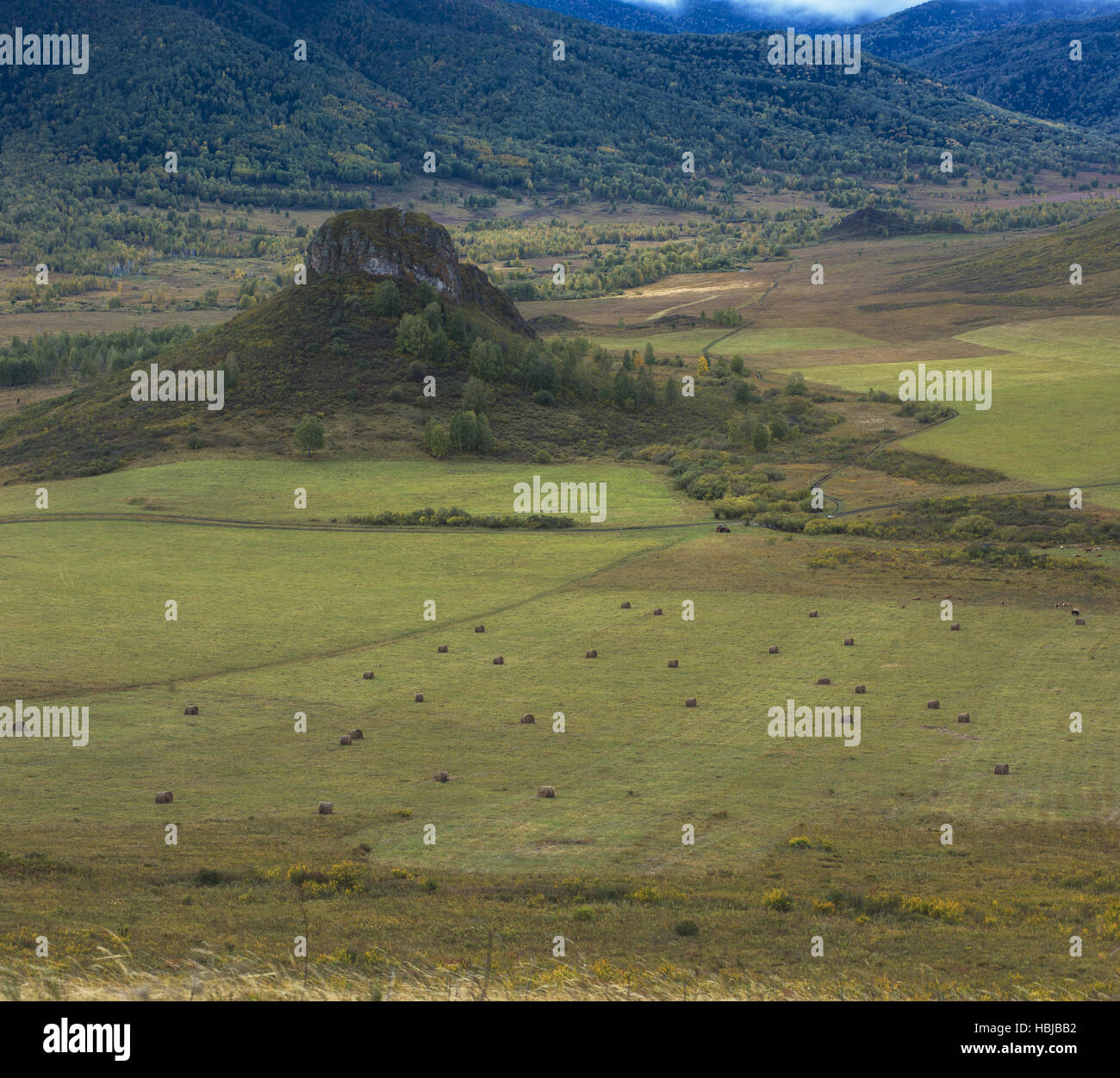 Altay mountains in Siberia Stock Photo - Alamy