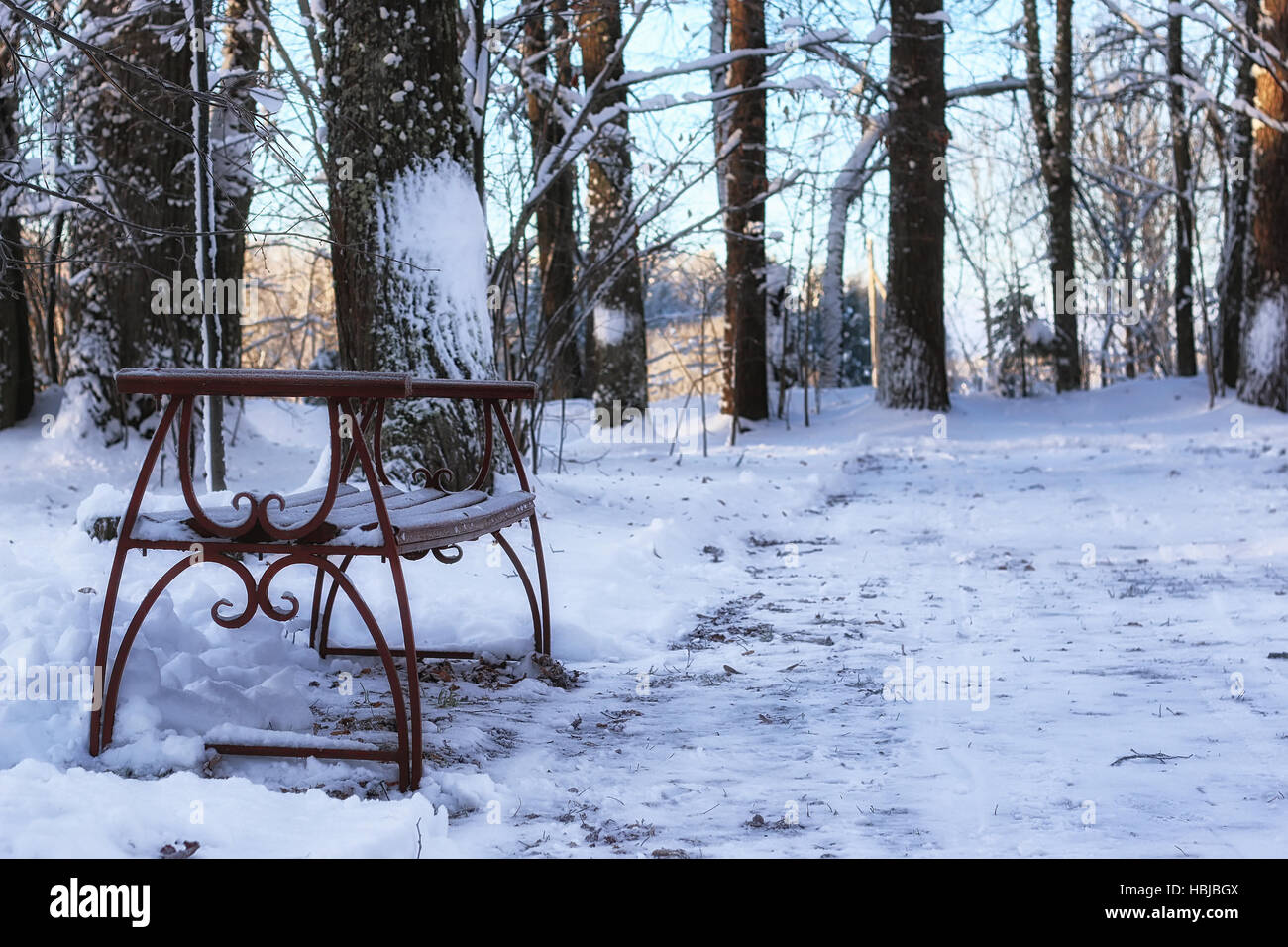 wood bench in winter Stock Photo - Alamy