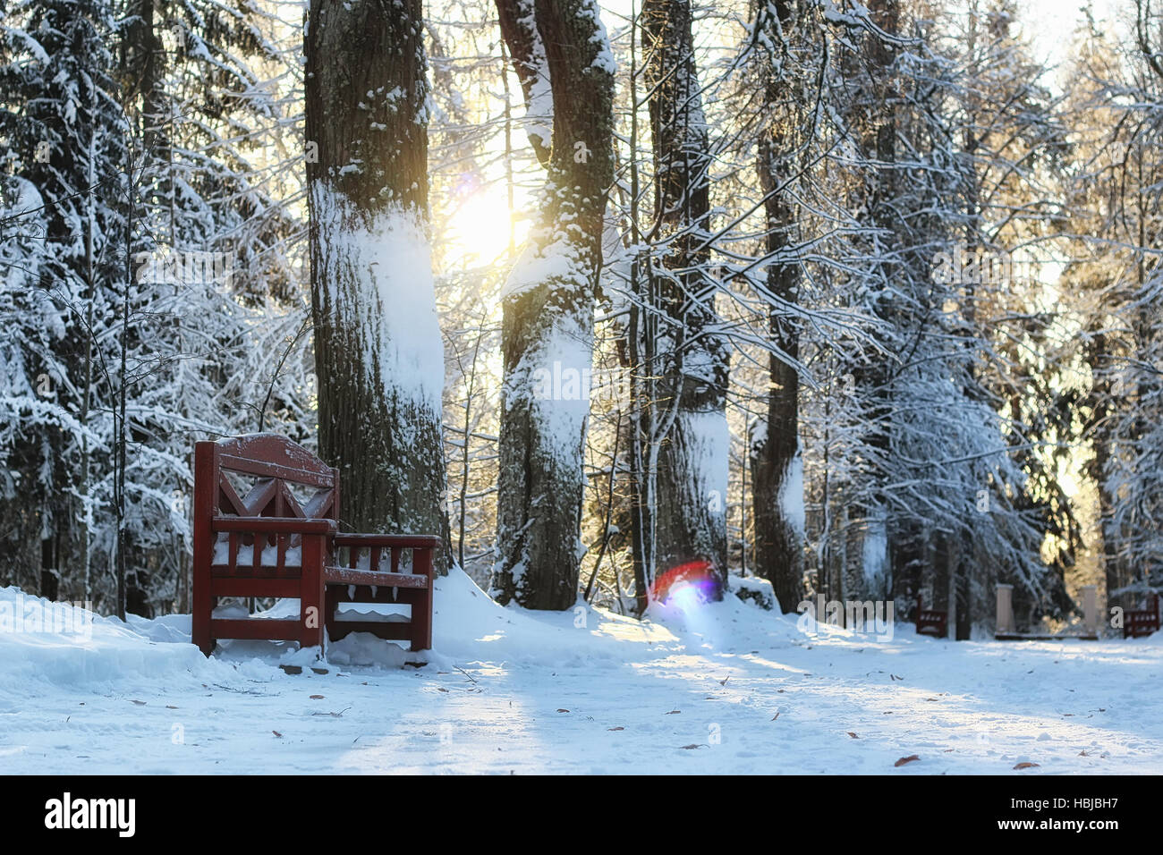wood bench in winter Stock Photo - Alamy