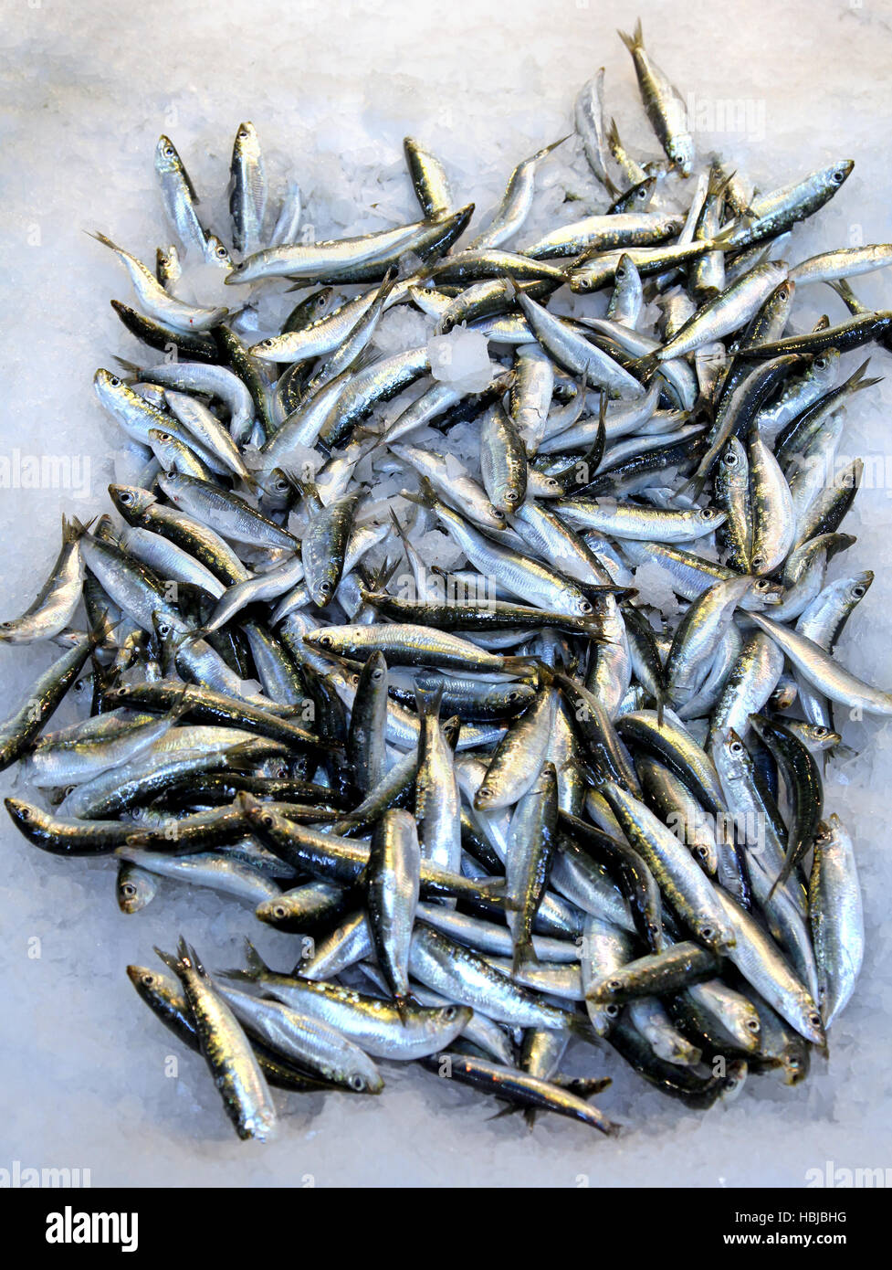 Smelt fish hi-res stock photography and images - Alamy