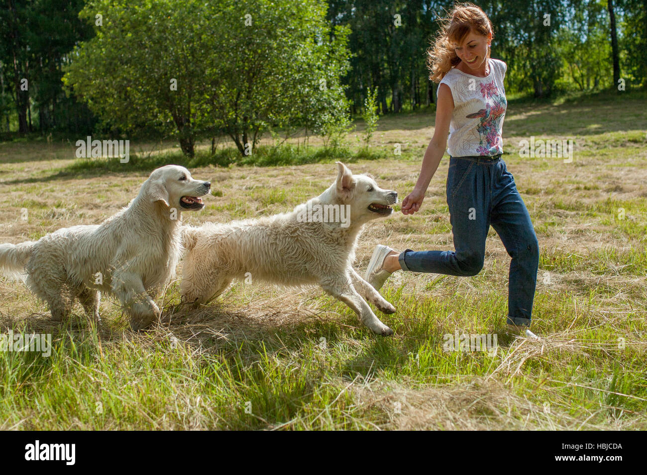 Girl with dogs Stock Photo - Alamy