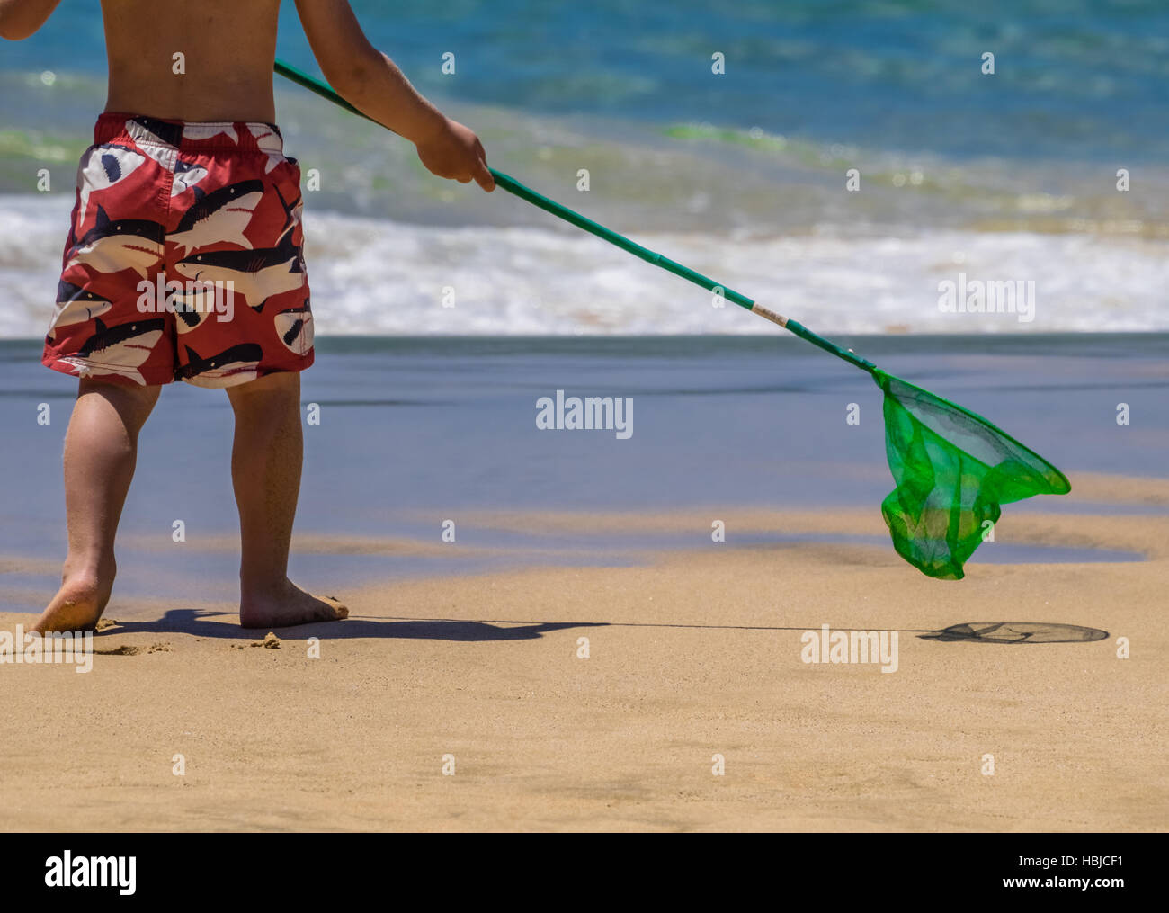 Boy with fishing net hi-res stock photography and images - Alamy