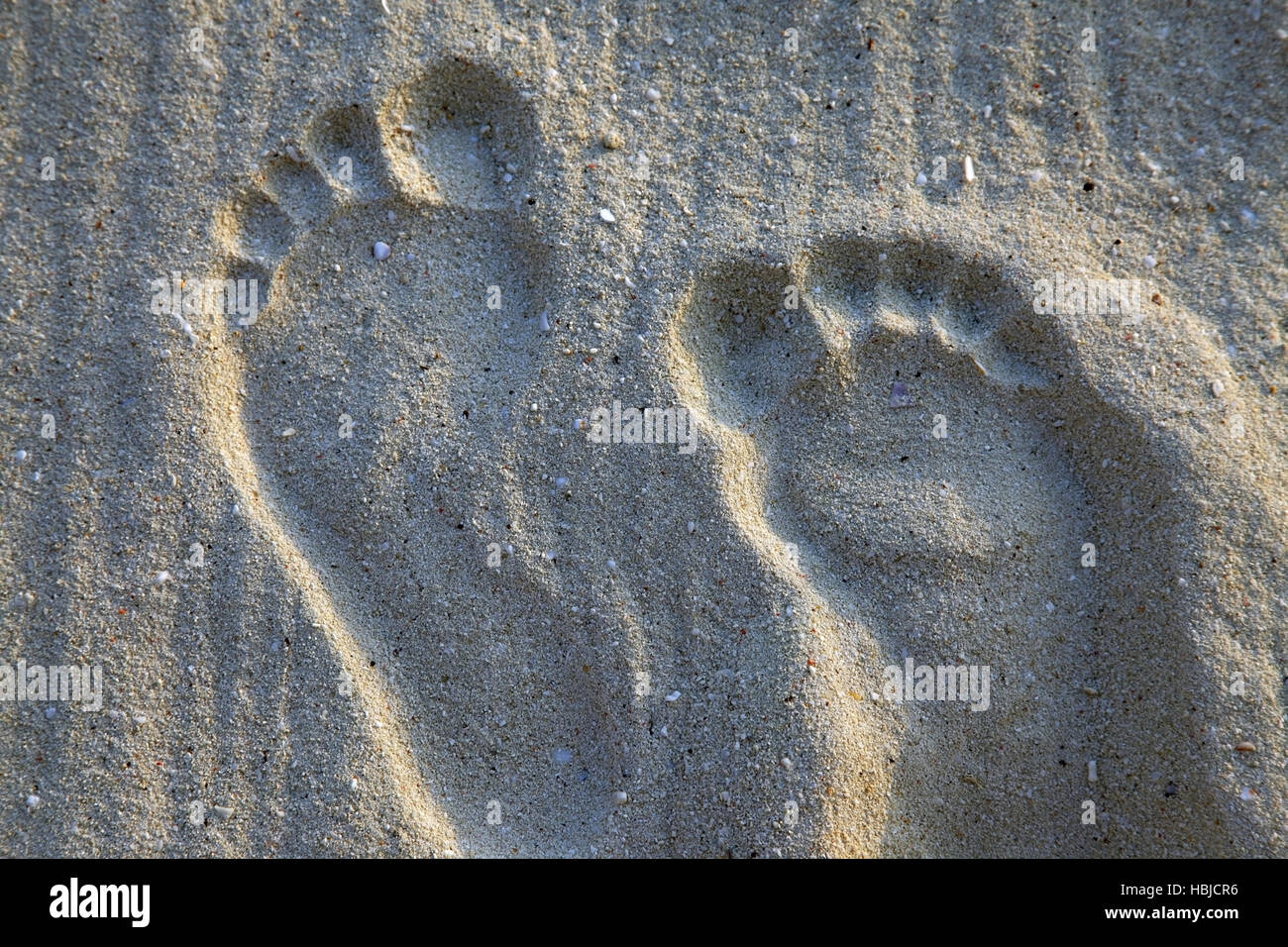 Leg prints hi-res stock photography and images - Alamy
