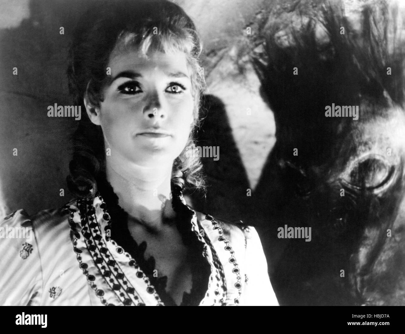 THE BLOOD BEAST TERROR, (aka THE VAMPIRE-BEAST CRAVES BLOOD), Wanda ...
