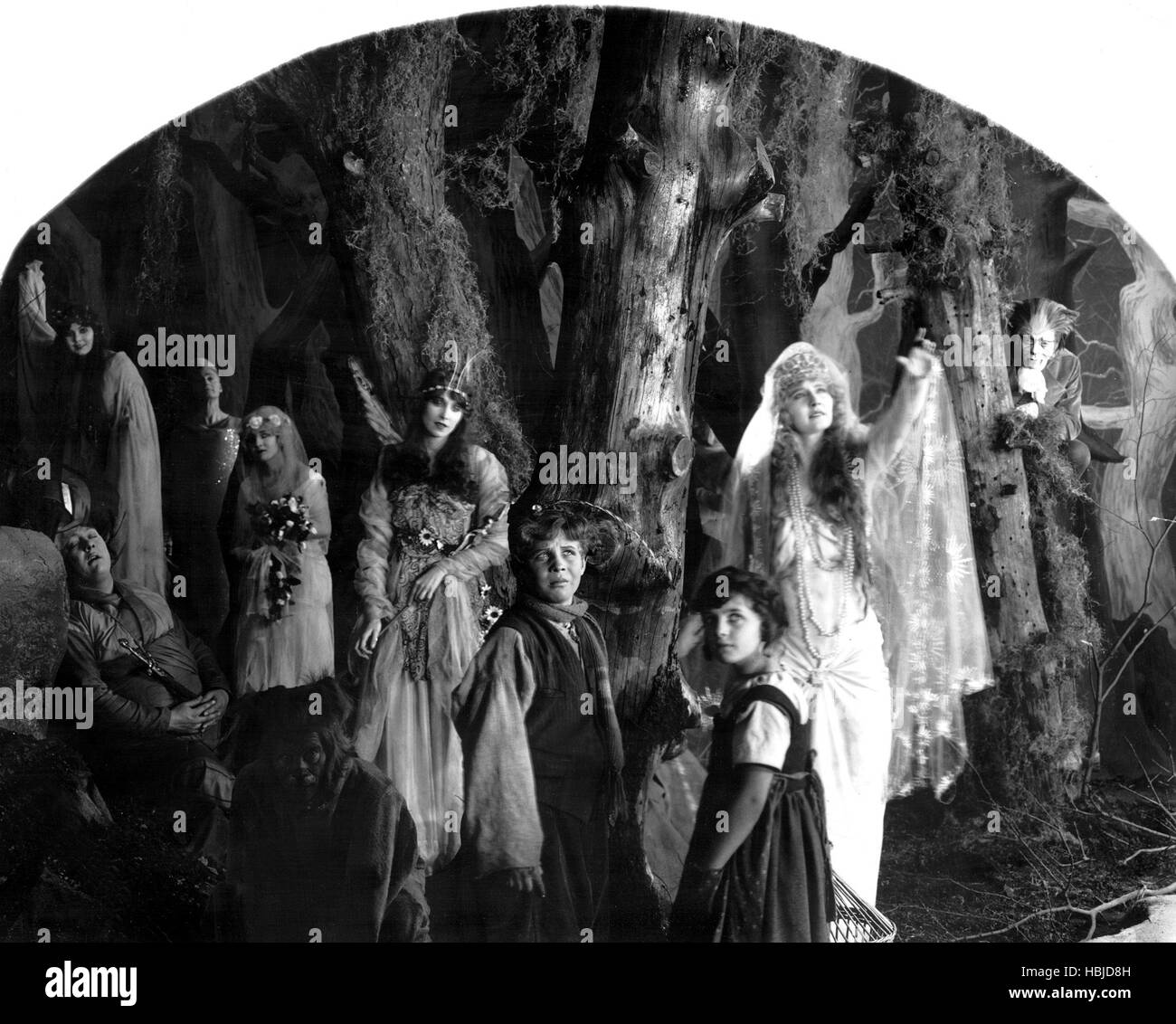 BLUE BIRD, Tula Belle, Robin MacDougall, 1918 Stock Photo - Alamy