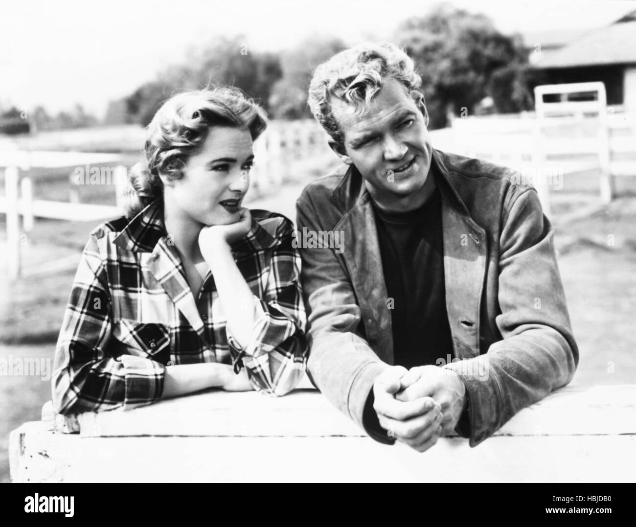 BLUE BLOOD, from left, Jane Nigh, Bill Williams, 1951 Stock Photo - Alamy