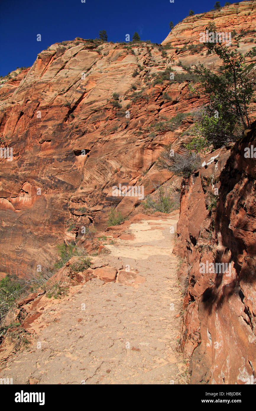 Hidden Canyon Trail in Zion National Park, Utah Stock Photo - Alamy