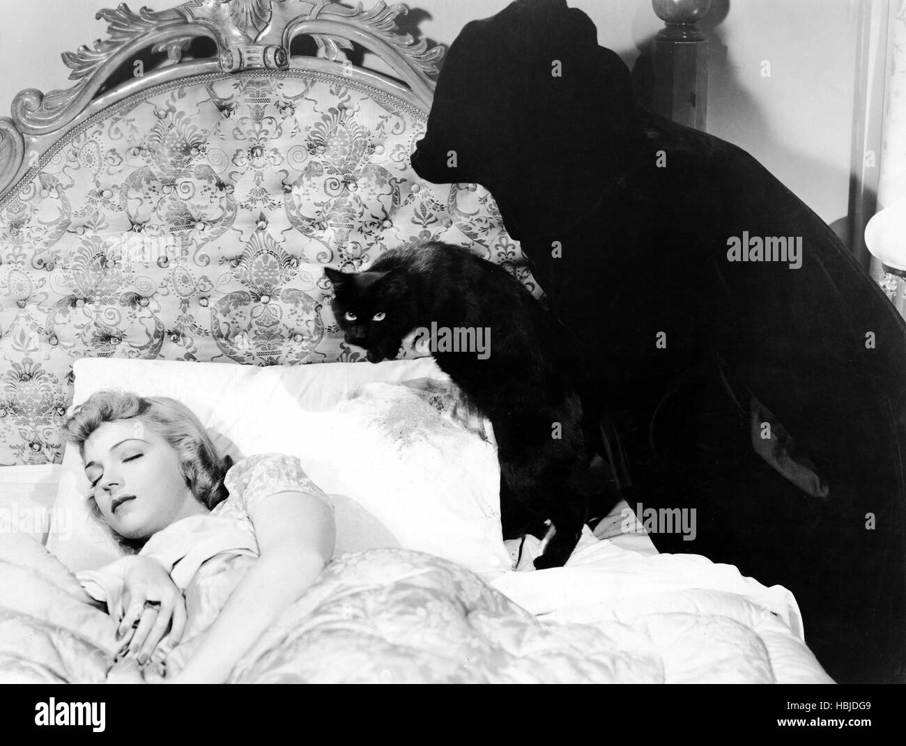 THE BLACK CAT, Anne Gwynne, 1941 Stock Photo - Alamy