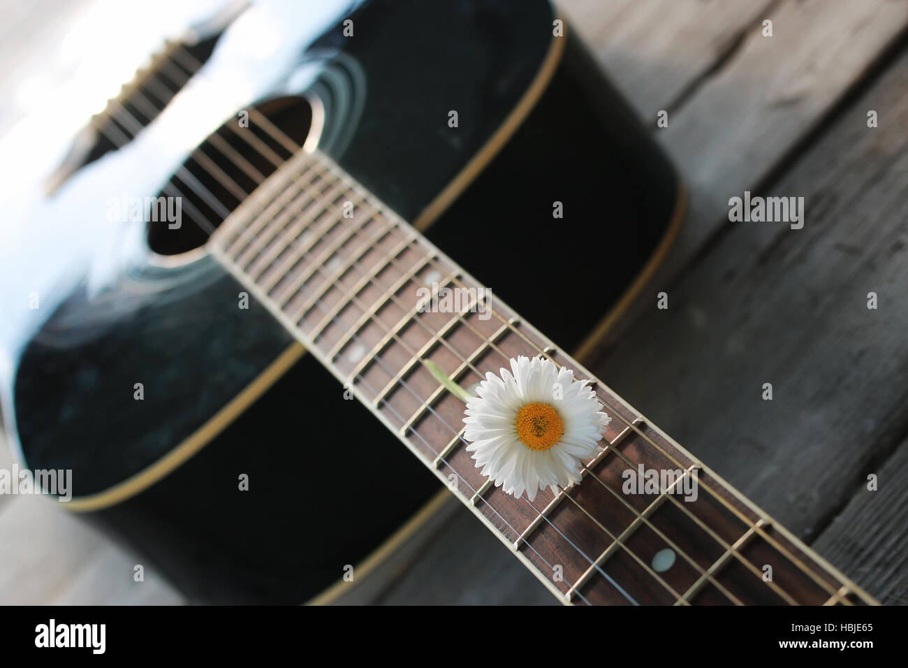 guitar string daisy Stock Photo - Alamy