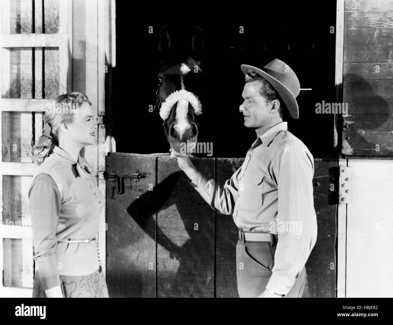 BLUE GRASS OF KENTUCKY, from left, Jane Nigh, Bill Williams, 1950 Stock ...