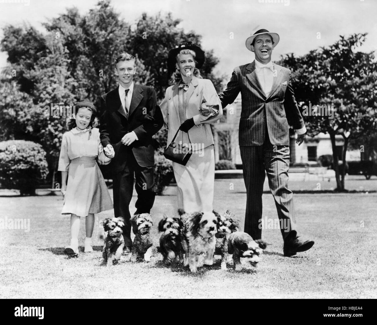 BLONDIE'S HERO, from left, Marjorie Ann Mutchie, (aka Marjorie Kent ...