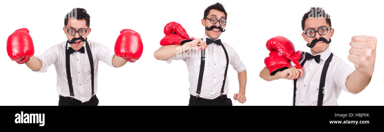 Funny boxer isolated on the white background Stock Photo - Alamy