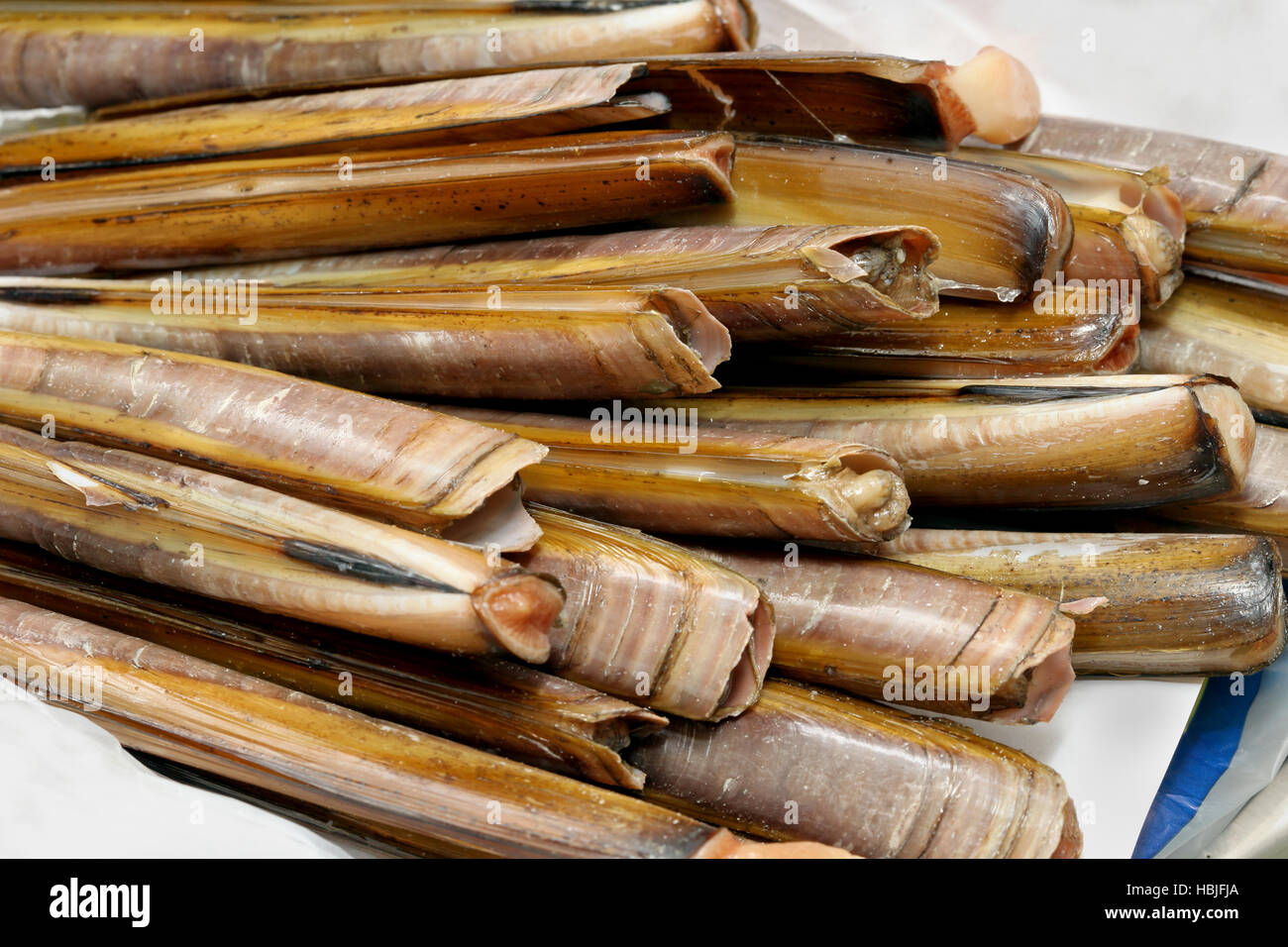 Razor clams hi-res stock photography and images - Alamy