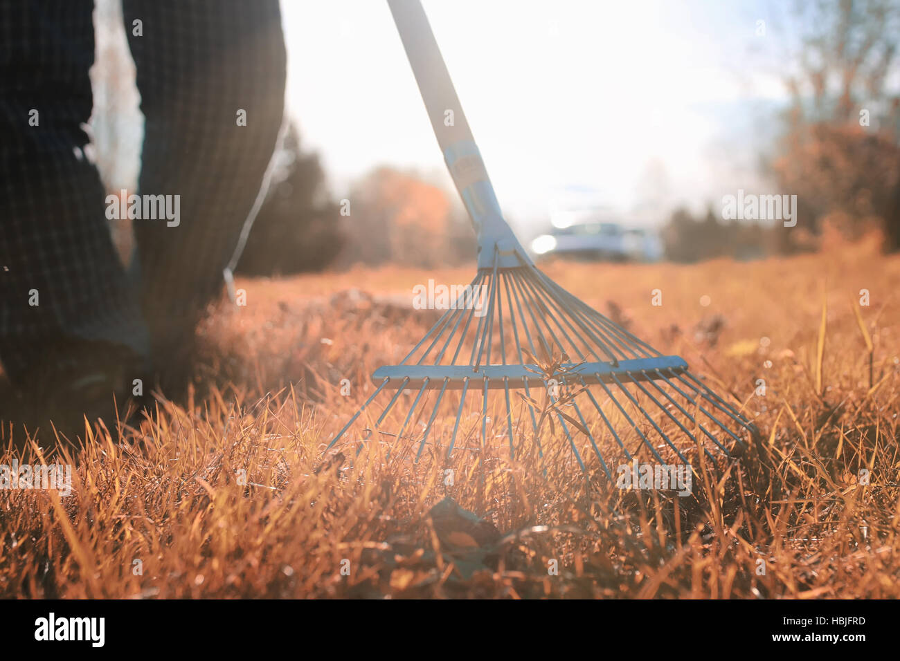 man with rakes in autumn old grass Stock Photo - Alamy