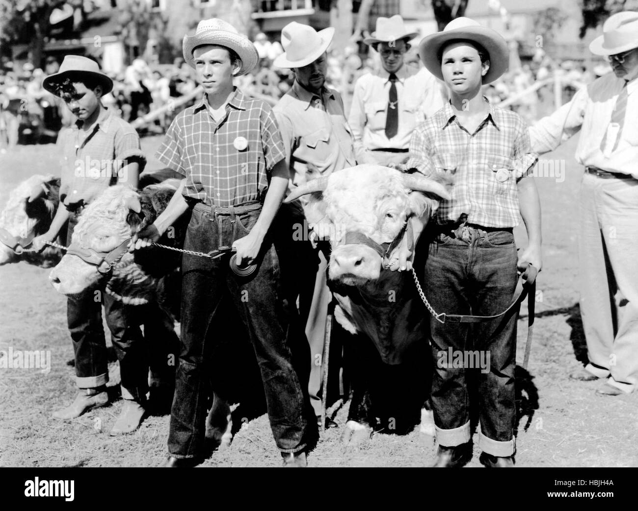 BOYS' RANCH, from left, in plaid, Skip Homeier, Darryl Hickman, 1946 ...