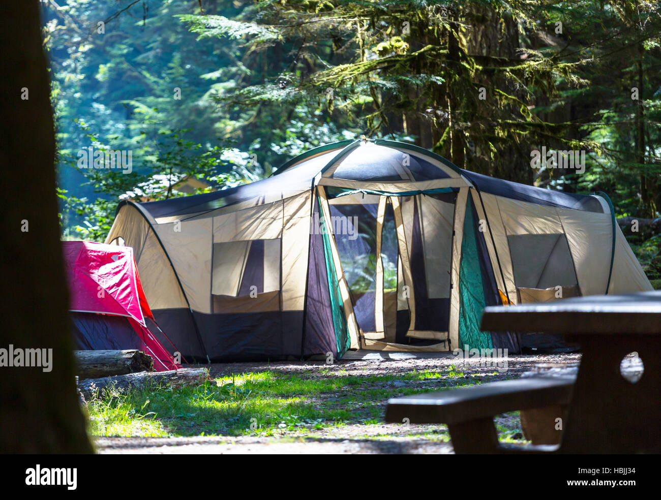 Tent in the forest Stock Photo - Alamy