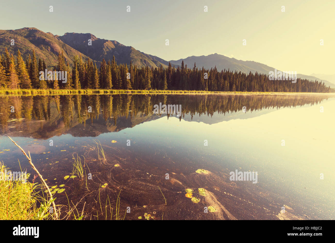 Lake in Alaska Stock Photo - Alamy