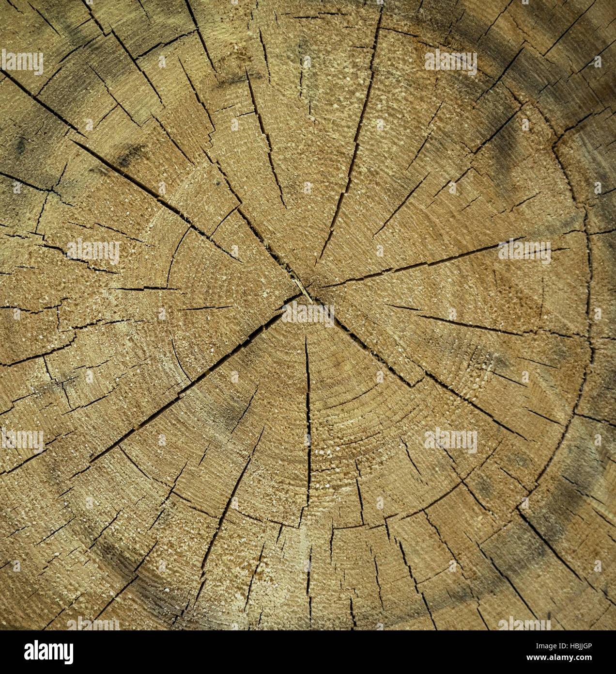 Section texture hi-res stock photography and images - Alamy