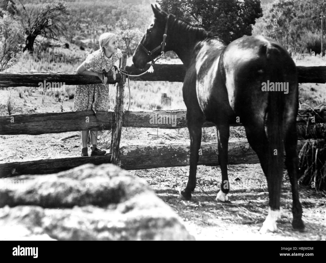 BUSH CHRISTMAS, Helen Grieve, 1947 Stock Photo - Alamy