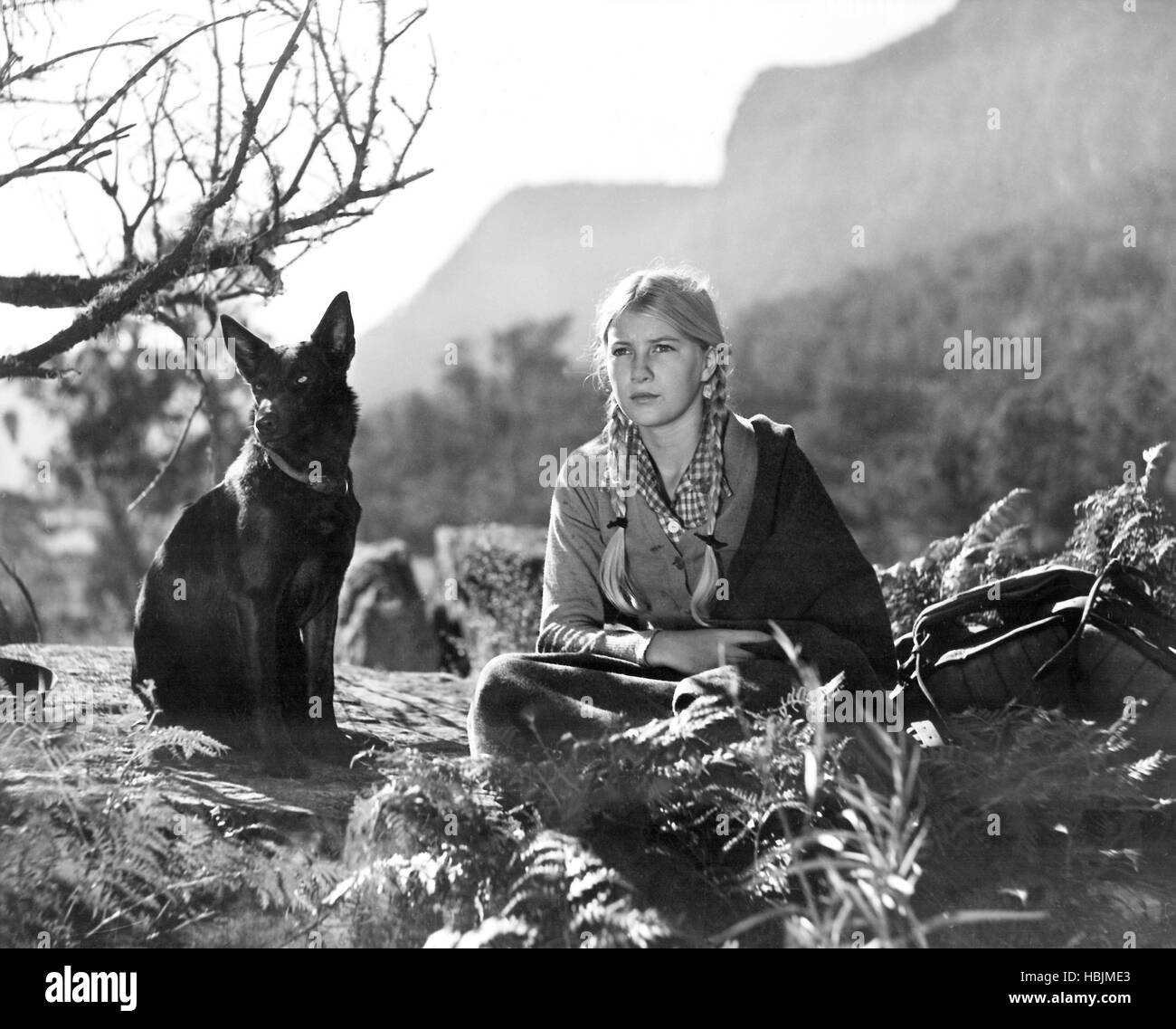 BUSH CHRISTMAS, Helen Grieve, 1947 Stock Photo - Alamy