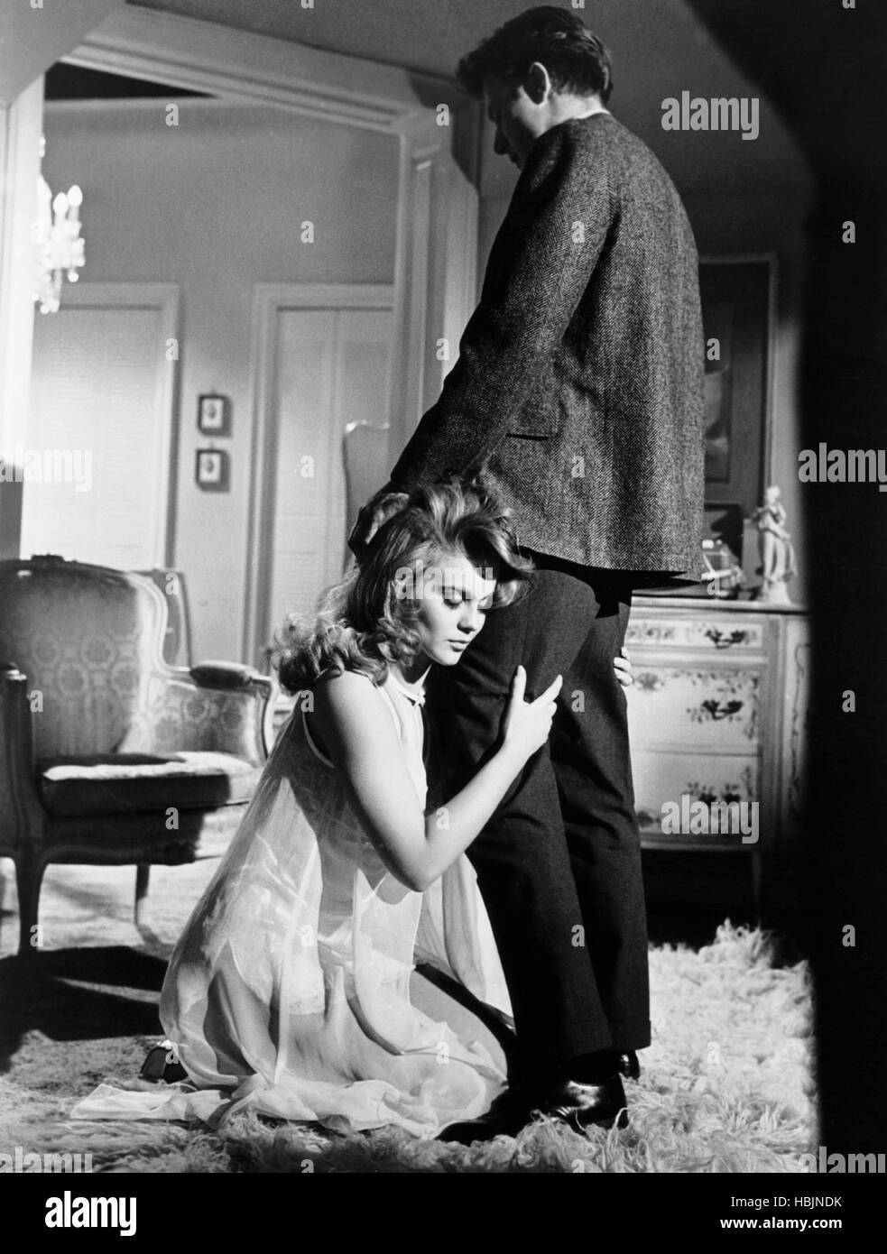 BUS RILEY'S BACK IN TOWN, from left, Ann-Margret, Michael Parks, 1965 ...