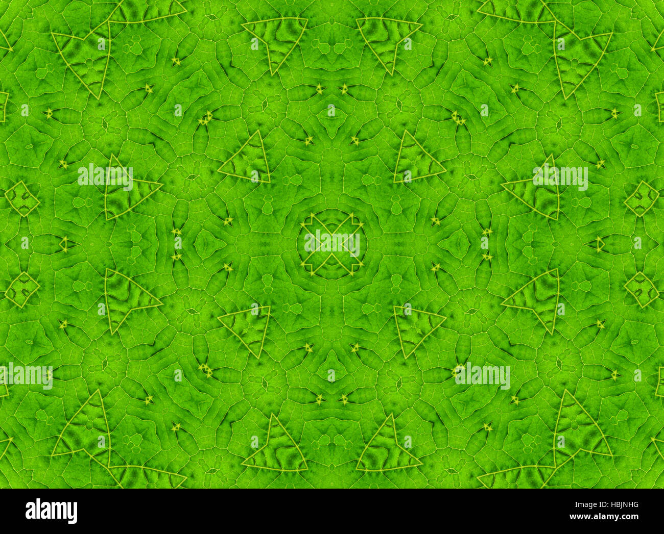 Mirror leaf pattern hi-res stock photography and images - Alamy