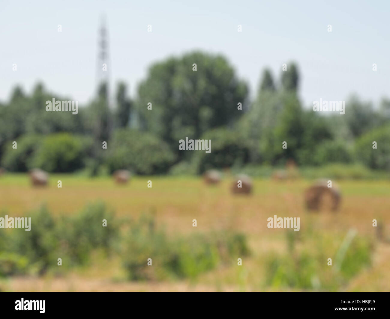 Blurred nature background Stock Photo - Alamy