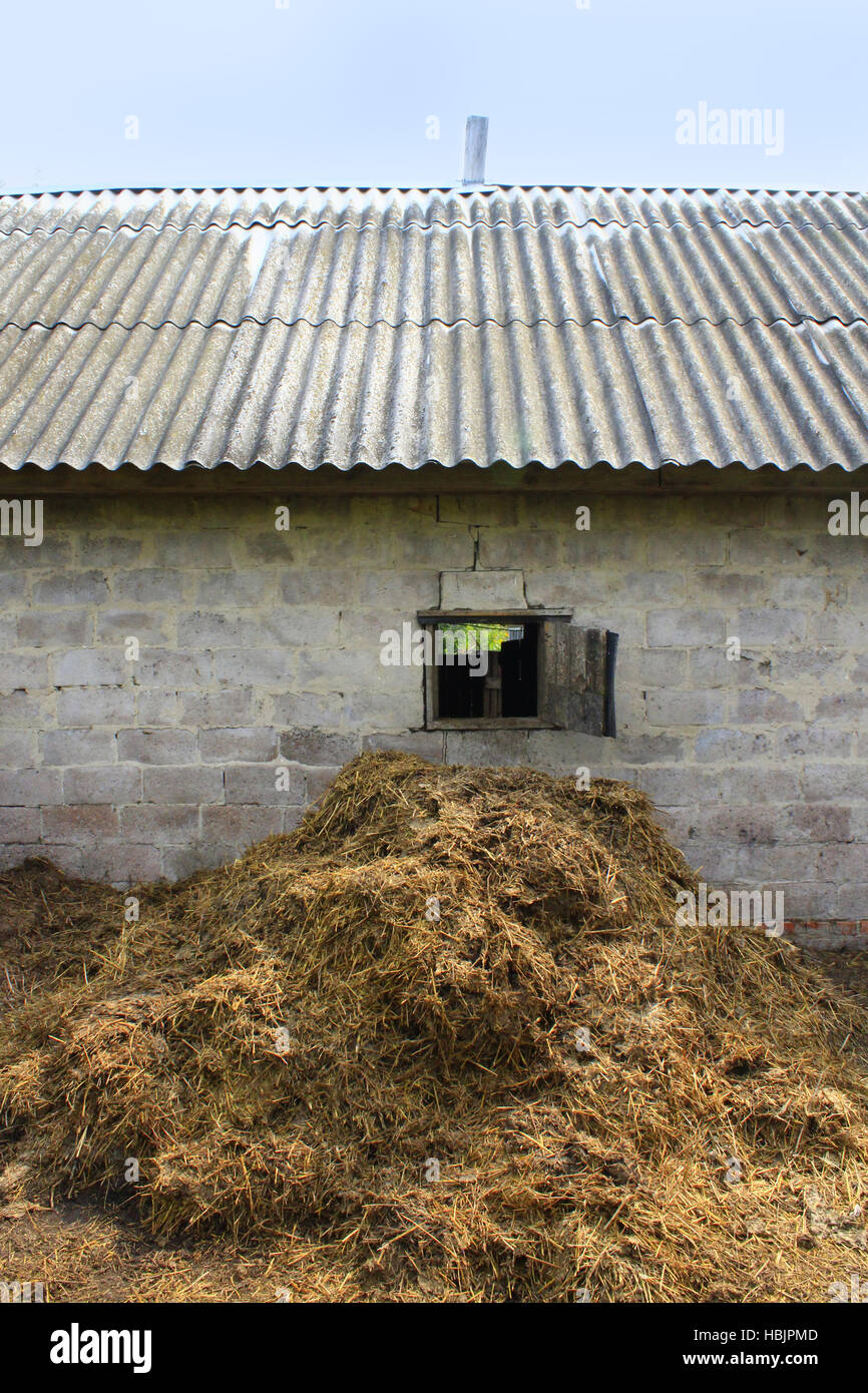 heap of the dung besides the shed Stock Photo - Alamy