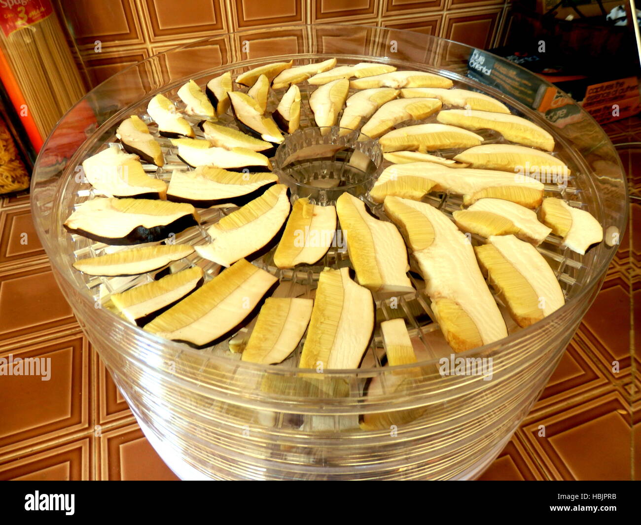 Ceps hi-res stock photography and images - Alamy