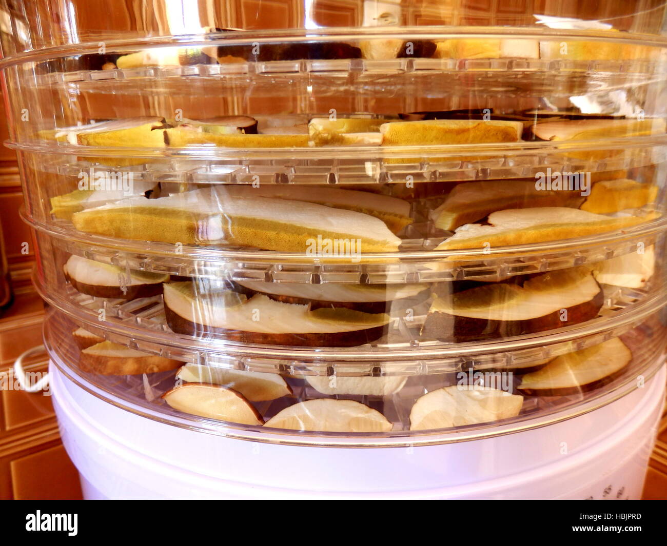 Ceps cut hi-res stock photography and images - Alamy