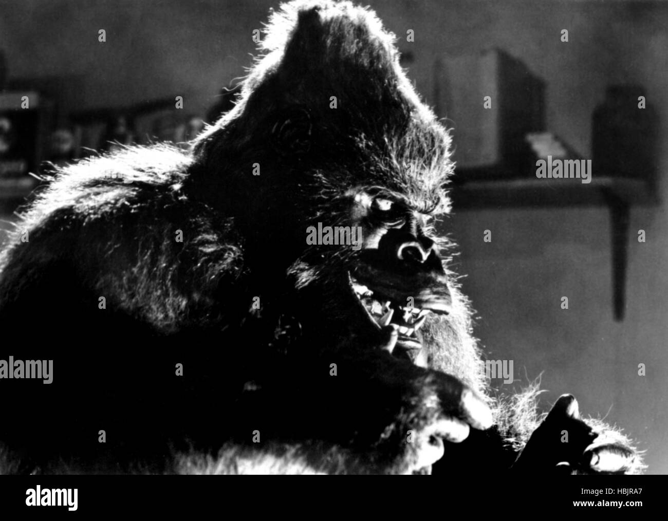 BLACK ZOO, George Barrows (inside costume) as Victor the Gorilla, 1963 ...