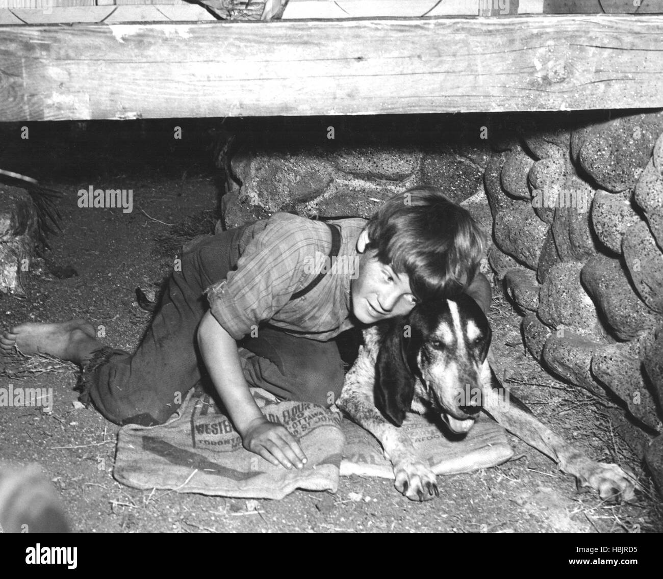 BOY AND HIS DOG, A, Billy Sheffield, 1946 Stock Photo - Alamy
