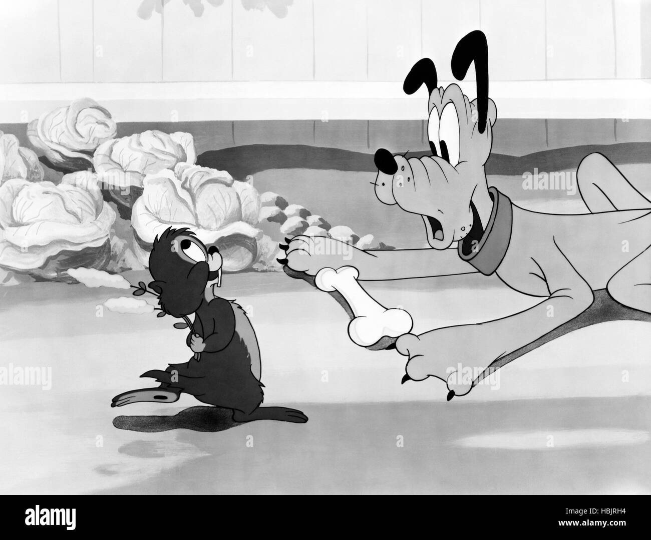 BONE BANDIT, Pluto (right), 1948 Stock Photo - Alamy BONE BANDIT, Pluto (right), 1948 Stock Photo - Alamy