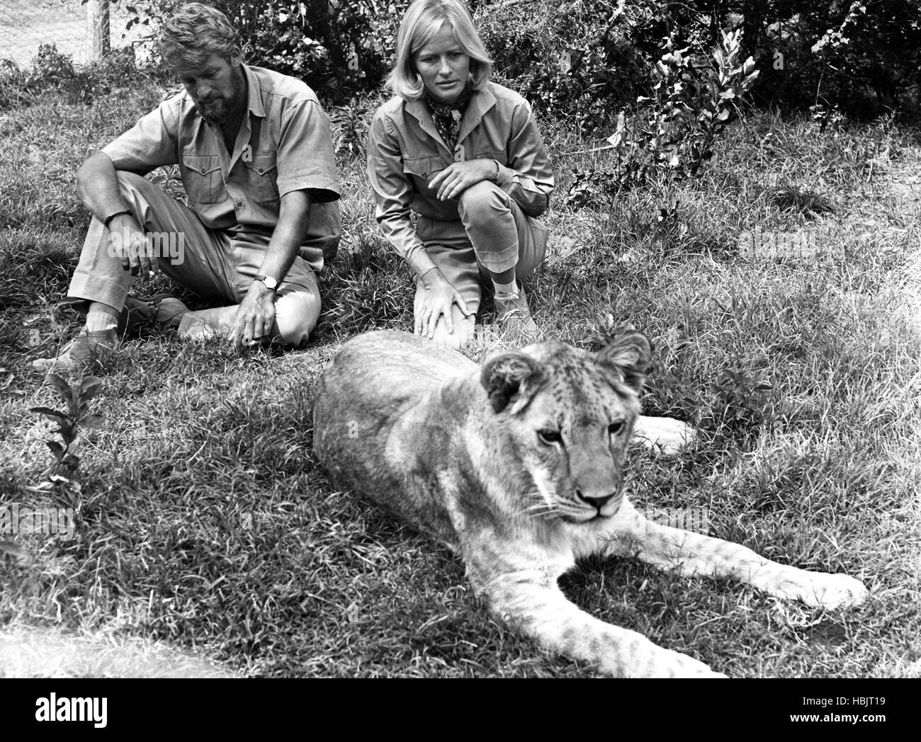 BORN FREE, Bill Travers, Virginia Mckenna with Elsa, 1966 Stock Photo ...
