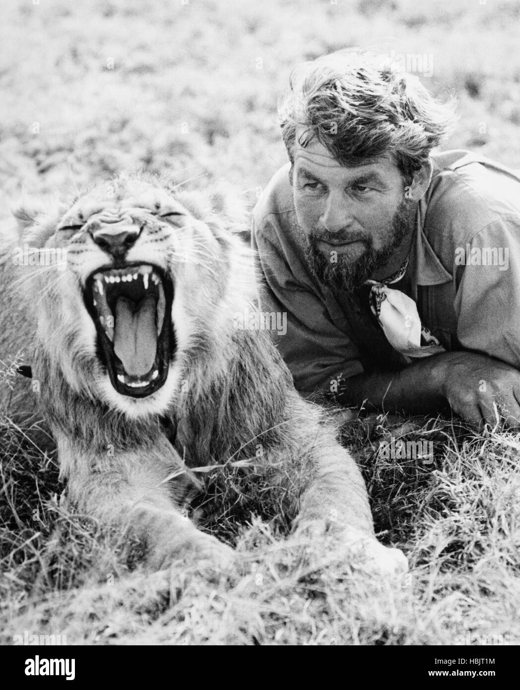 BORN FREE, Bill Travers, 1966 Stock Photo - Alamy