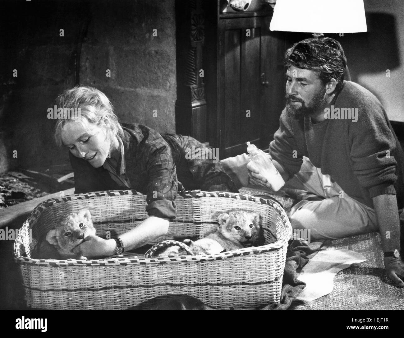 BORN FREE, Virginia McKenna, Bill Travers, 1966 Stock Photo - Alamy