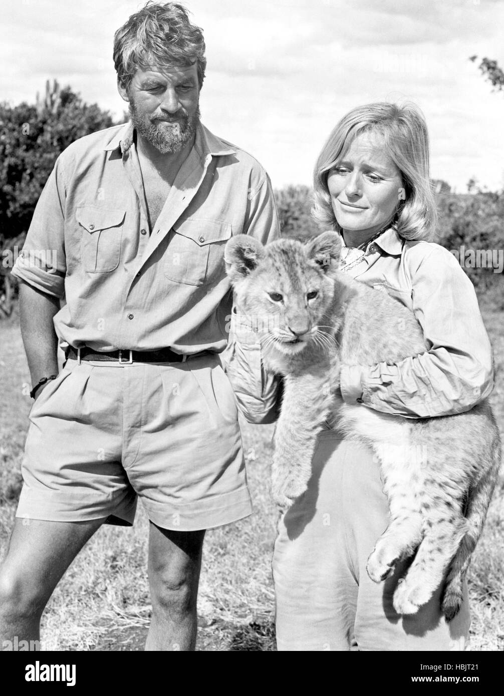BORN FREE, Bill Travers, Virginia McKenna with Elsa the lion, 1966 ...