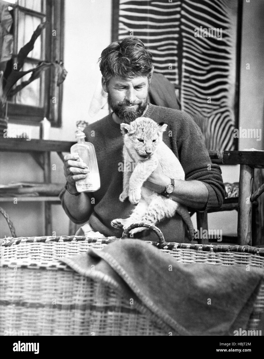 BORN FREE, Bill Travers, 1966 Stock Photo - Alamy