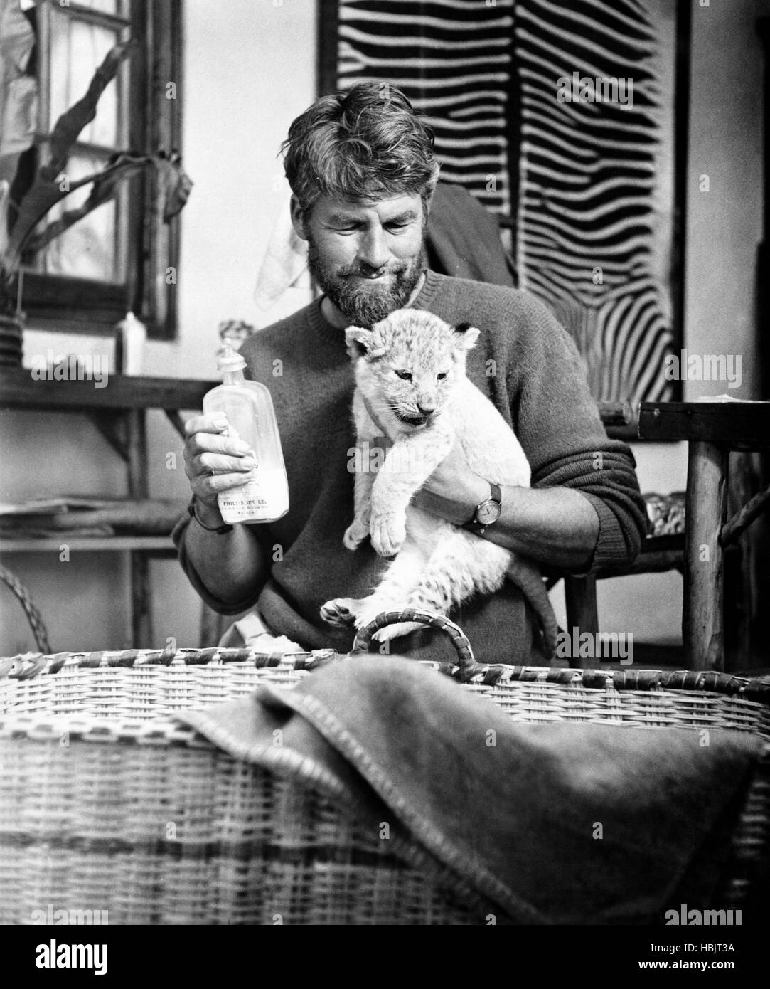 BORN FREE, Bill Travers, 1966 Stock Photo - Alamy