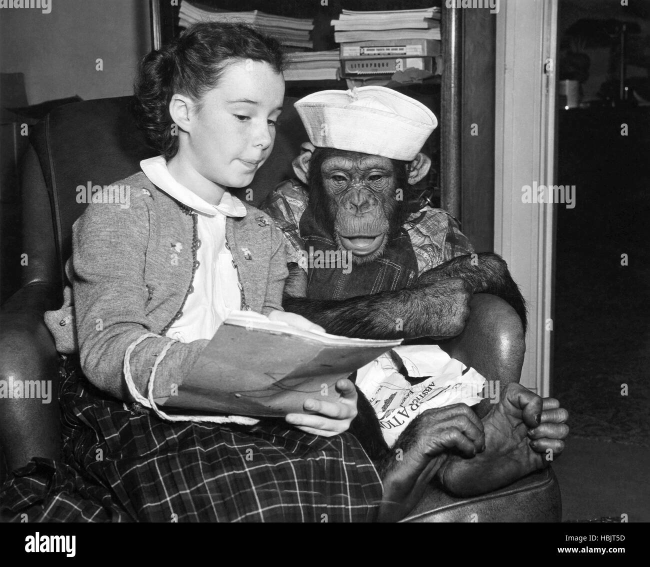 BONZO GOES TO COLLEGE, Gigi Perreau with Bonzo on set, 1952 Stock Photo ...