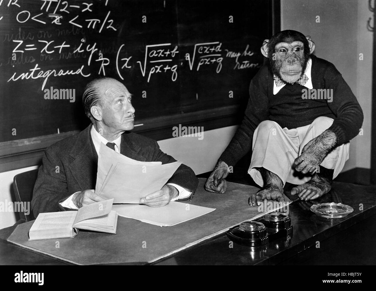 BONZO GOES TO COLLEGE, from left, George Meader, Bonzo, 1952 Stock ...